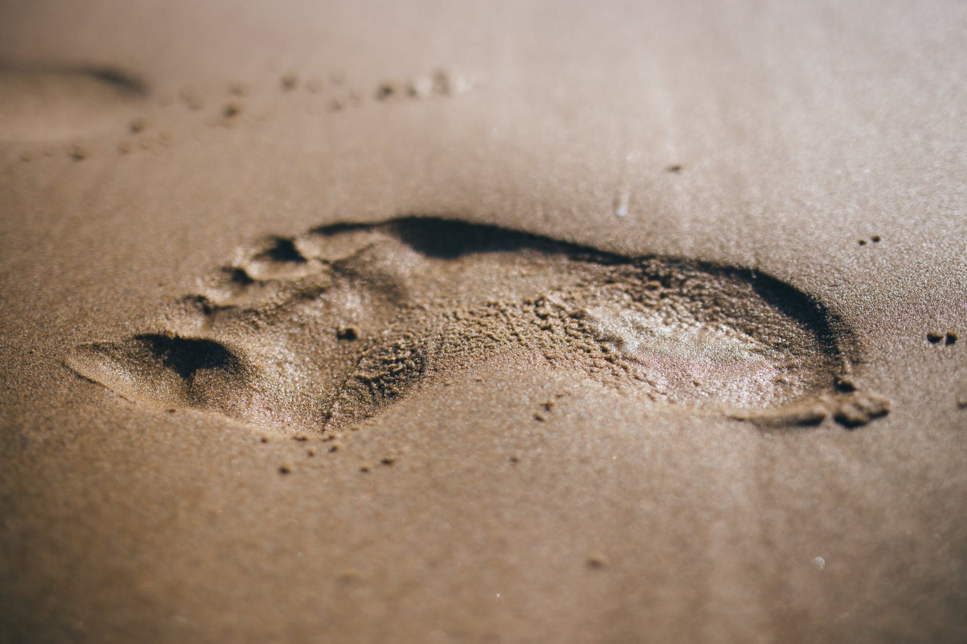 Footprints Without Feet Summary Questions Answers Class 10 Tulip Footprints Without Feet Summary Questions Answers Class 10 Tulip